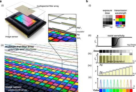 Grayscale To Color Scalable Fabrication Of Custom Multispectral Filter