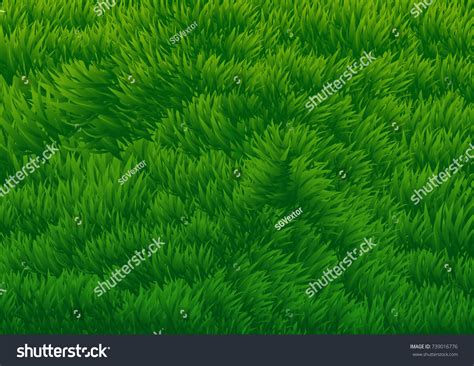 Grass Land Top View Over 1169 Royalty Free Licensable Stock Vectors