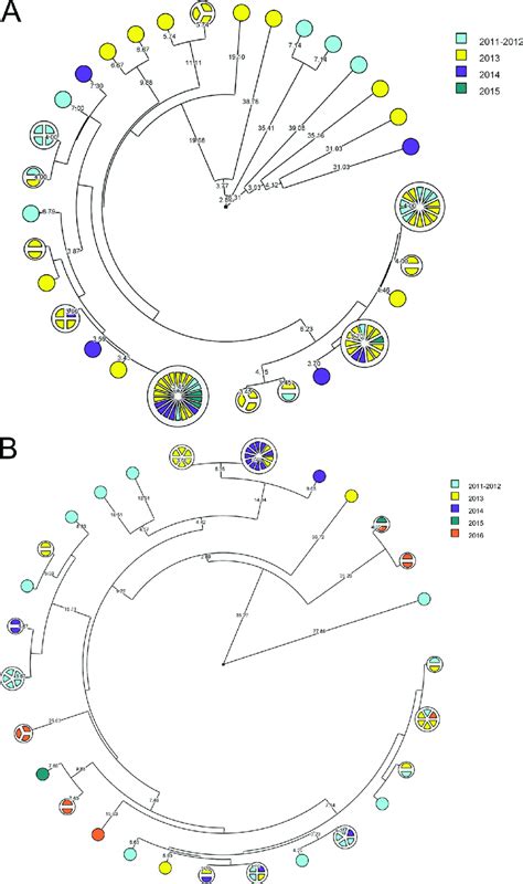 minimum spanning tree based on dendrogram of xbai pfge patterns of 91
