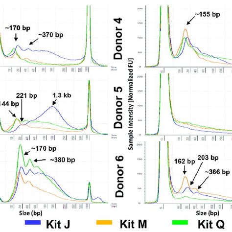 Fragment Size Profiles Of Cell Free Dna Cfdna Extracted From Urine Of Download Scientific
