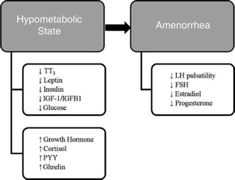 Amenorrhea Associated With The Female Athlete Triad Etiology