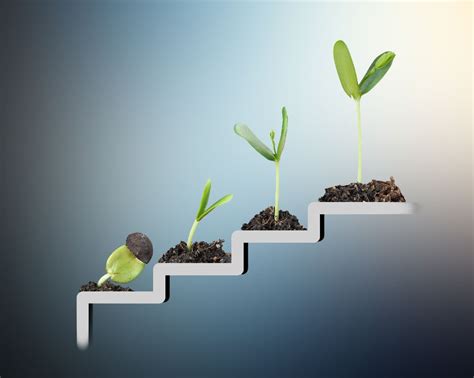 Steps To Transformation True Me Breakthrough Coaching