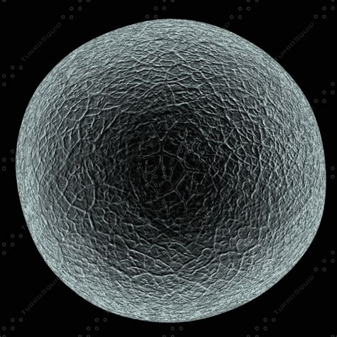 3d Model Human Egg Cell Microscope