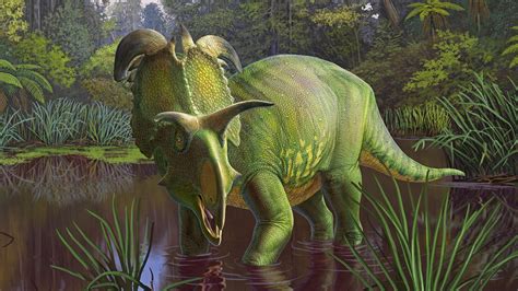 Triceratops Lived In Europe Millions Of Years Ago Scientists Discover