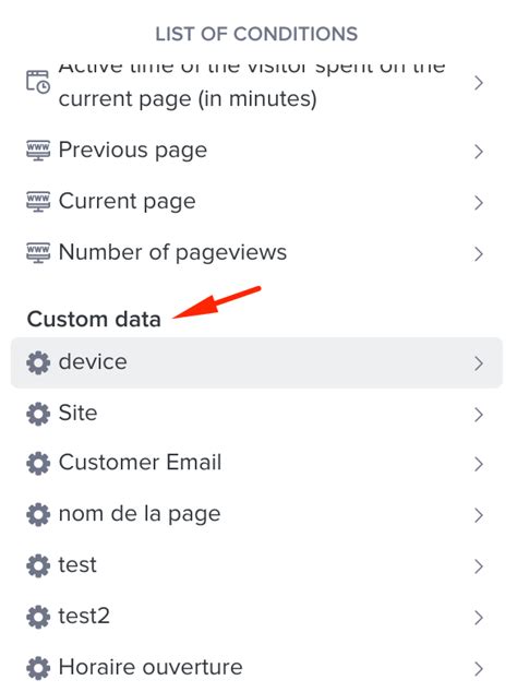 Create And Use The Custom Data Help Center IAdvize