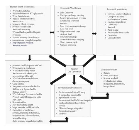 sesame dynamics source authors own elaboration download scientific diagram