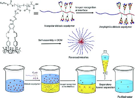 Illustration Of The Self Assembly Behaviour For Diblock Copolymer 57 Download Scientific