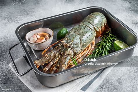 신선한 생 가시 랍스터 또는 바다 가재를 요리 할 준비가되었습니다 흰색 배경입니다 상위 뷰 갈고리 발톱에 대한 스톡 사진 및