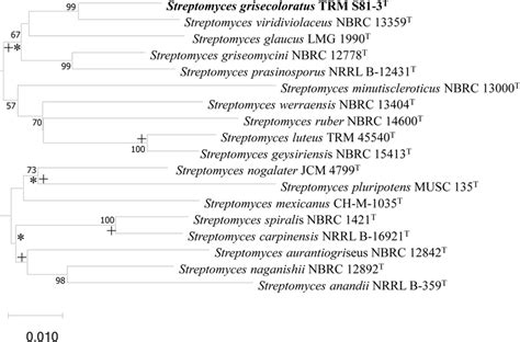 Neighbor Joining Phylogenetic Tree Based On Concatenated Partial