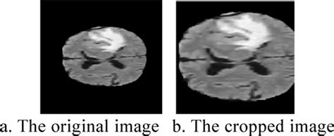 The Segmentation Results Of Different Model Download Scientific Diagram