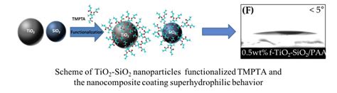 Functionalization Effect On Polymer Nanocomposites Coatings Based On