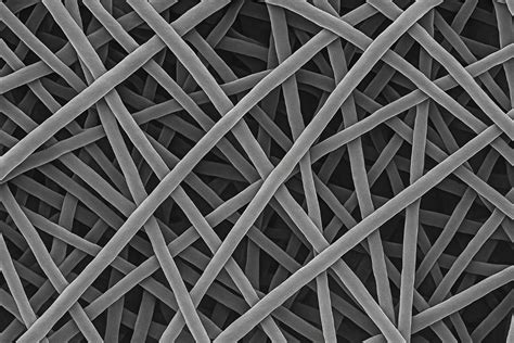 Designing Bacterial Cellulose From The Inside Out