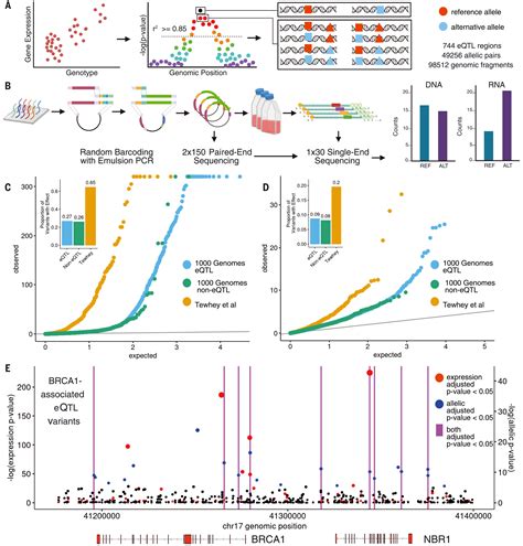 Multiple Causal Variants Underlie Genetic Associations In Humans Science