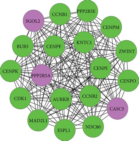 Significant Clusters From The Ppi Network Ad Pathway Analysis Of