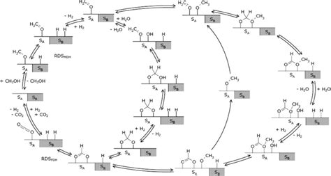 The Proposed Catalytic Cycle Of Srm Reaction Including Different Kind