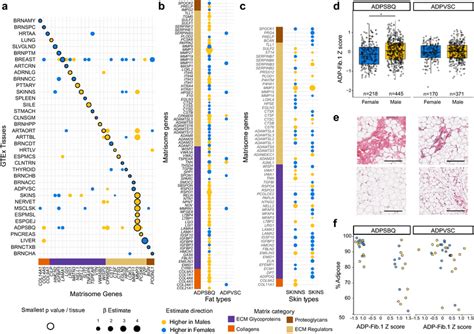 Sex Based Differences In The Matrisome Transcriptome A A Plot Of Sex