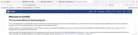 lnmt动静分离 keepalived csdn博客