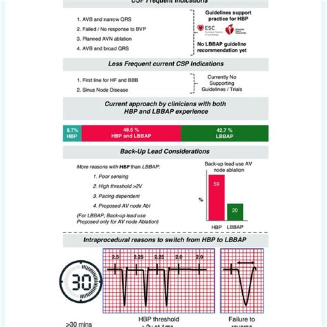Conduction System Pacing Survey Summary Of Findings Download Scientific Diagram