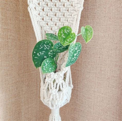 마크라메 활용해서 행잉플랜트 만들기 봄맞이 플랜테리어 네이버 블로그