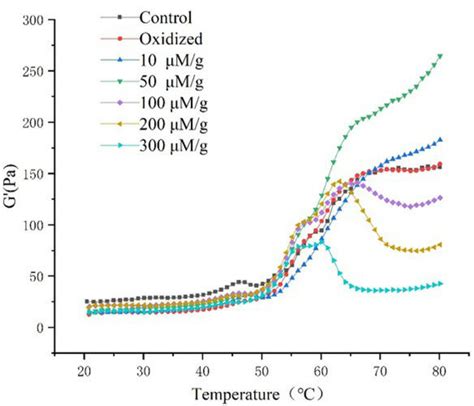 Storage Modulus G′ Development Of Mp During Thermal Gelation With