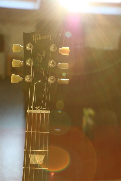 무료 이미지 어쿠스틱 기타 뽑아 낸 현악기 베이스 기타 전자 기타 3648x5472 176407 무료 이미지 Pxhere