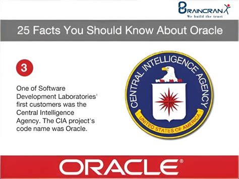 Oracle Techhistory Innovation Softwaredevelopment Databases Braincranx