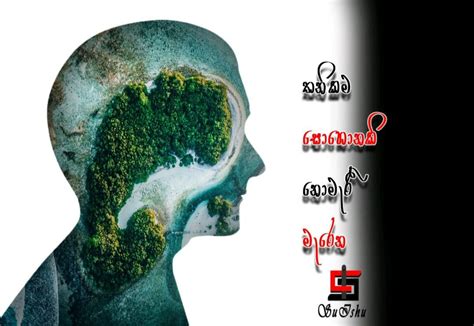 Sumeda Himi On Linkedin 😉😉😉😉