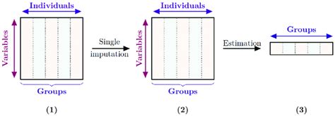 single imputation strategy 1 initial dataset with missing values it