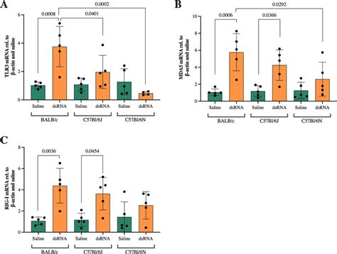 The Effect Of In Dsrna Administration On Gene Expression Of Tlr3