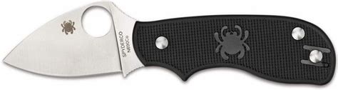 Spyderco Squeak Review | Knife Informer