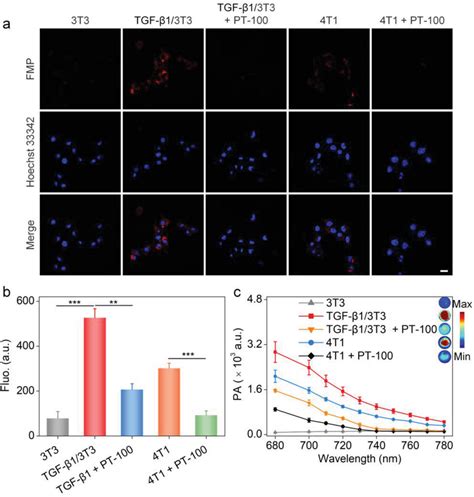 Investigating the imaging ability of FMP for FAPα detection in living Download Scientific