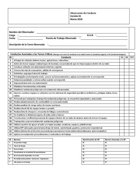 Hoja De Observación De Conductas Pdf