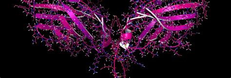 Our Parkinsons Place 3d Structure Of Alpha Synuclein Challenges Previous Theory Of Parkinsons