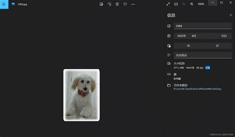 Efficientnet网络结构详解 物联沃 Iotword物联网