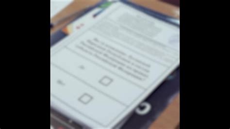 Завершились референдумы на освобожденных территориях Донецкой и Луганской республик Херсонской