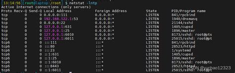 Linux端口开放和监听端口监听 Csdn博客