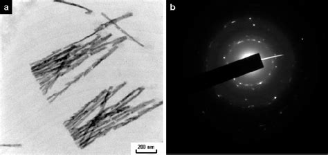 Tem Image And Saed Pattern Of The Feni Nanowires Arrays With The