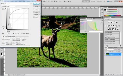 Gamma Correction Curve Lerpys Photography Log