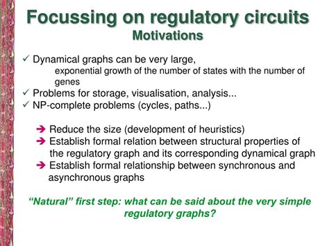 Ppt Modelisation And Dynamical Analysis Of Genetic Regulatory Networks Powerpoint Presentation