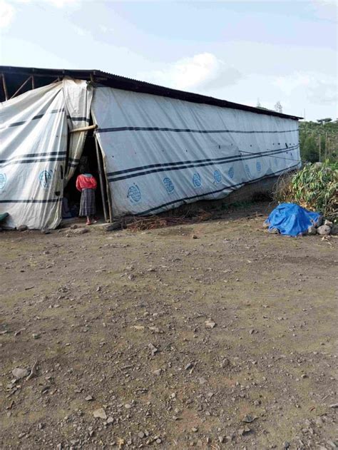 Yirga Abebe On Linkedin Researching Internal Displacement