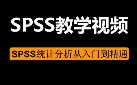 Spss统计分析从入门到精通杜强清晰版pdf 微盘下载 小不点搜索