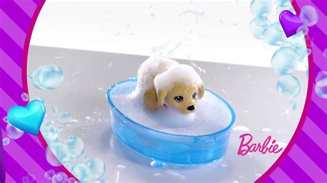 ბარბის ნაკრები მხიარული წუწაობა Youtube