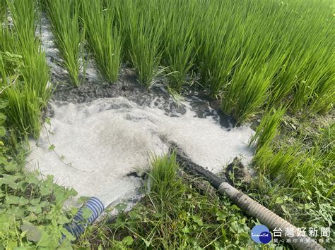 畜牧糞尿資源循環再利用 邁向畜牧產業永續發展