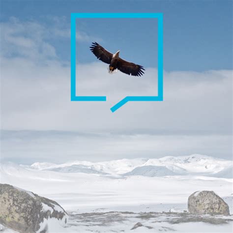 Windows PE Based Bootable Disks Nmore Group