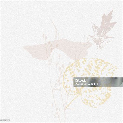부드러운 베이지 색 색조의 섬세한 수채화 식물 디지털 종이 꽃 배경 화이트 오가닉 페이퍼 텍스처의 뉴트럴 우아한 패턴 0명에 대한 스톡 벡터 아트 및 기타 이미지 Istock