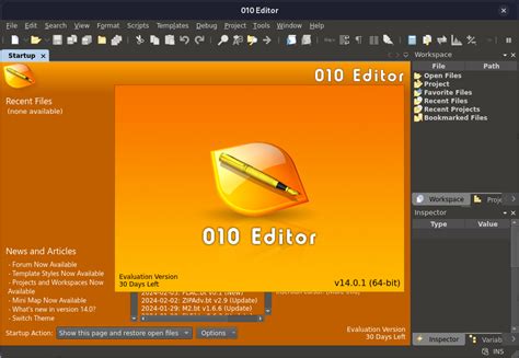 Packaging 010editor With Wrapqtappshook And Autopatchelfhook Help