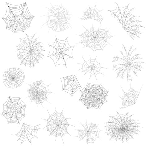 Premium Vector Set Of Cobweb Sketch Outline Vector Isolated