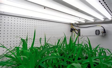 人工气候室 集装箱人工气候室 植物工厂教学实训平台 南乔科技 福建 有限公司