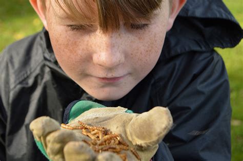 Ryecroft Primary Academy Wins Gold Northern Education Trust