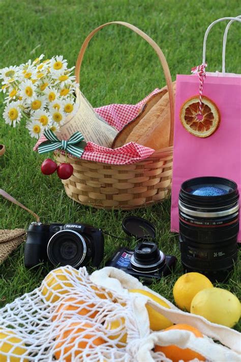 과일 높은 각도보기 누워있는 담요 바구니 소풍 수직 쐈어 얼굴 여성 포즈를 취하는에 관한 무료 스톡 사진